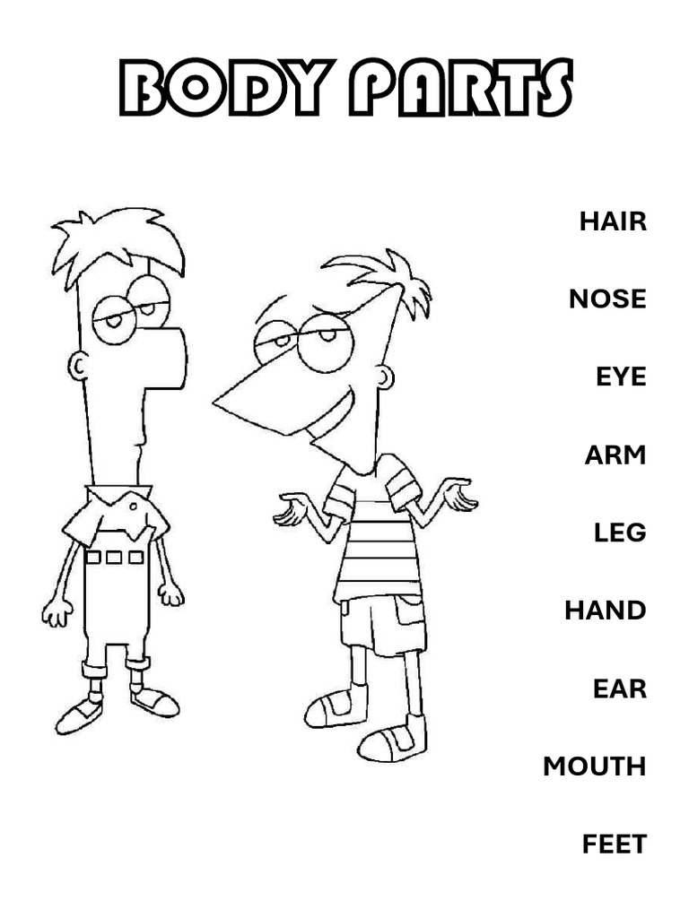 Body Parts 3 | PDF