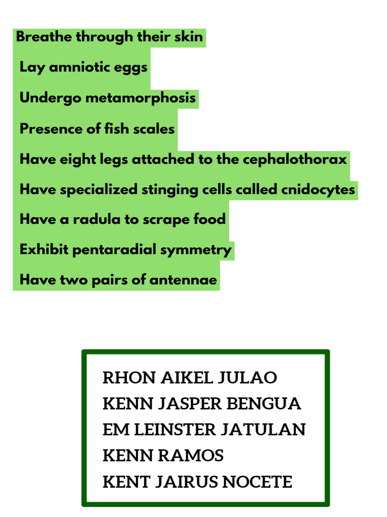 Vertebrates Warm Blooded Birds (no fur) Penguin Kiwi Mammals (with ...