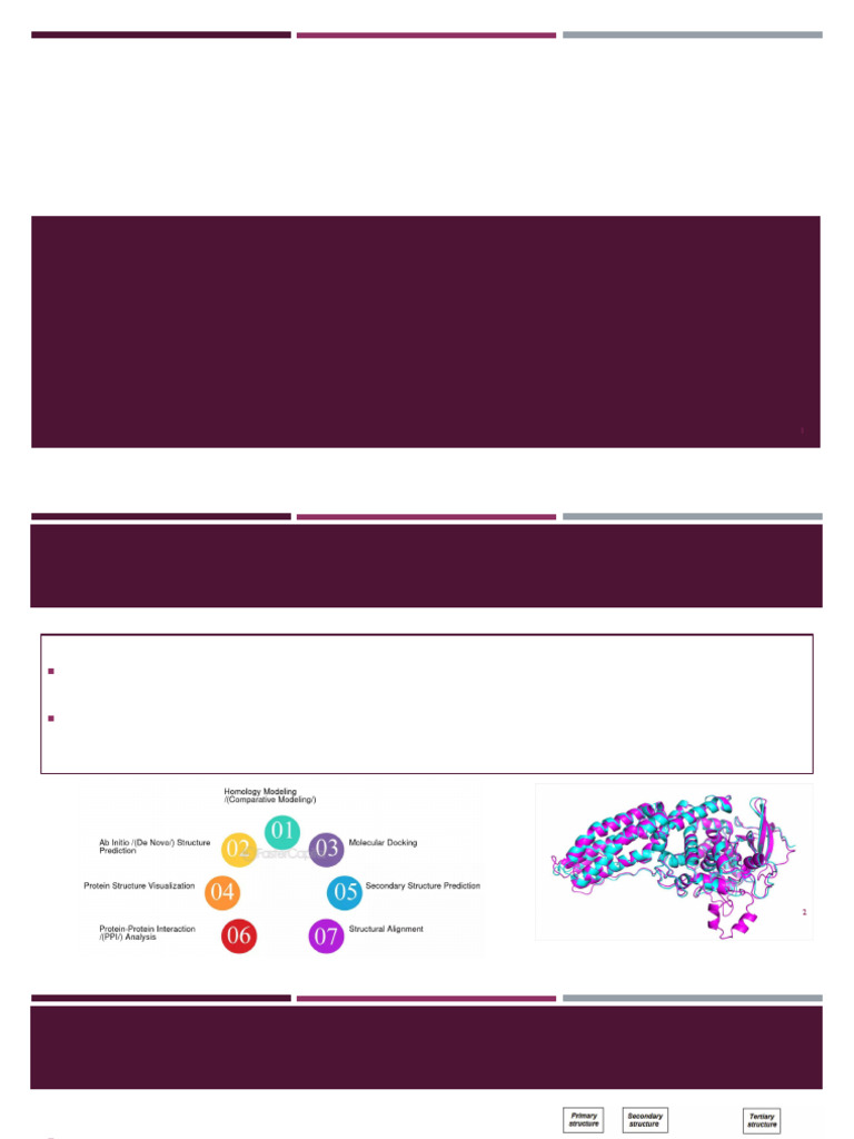 Structural Bioinformatics | PDF | Docking (Molecular) | Protein Structure
