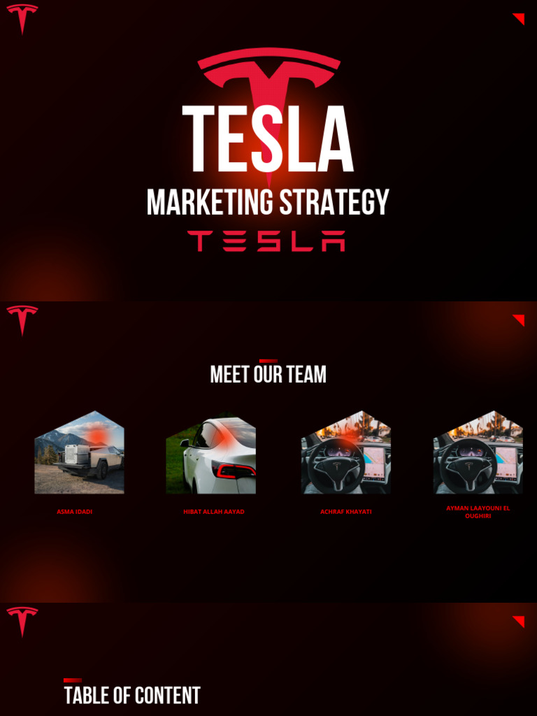 Teslas Marketing Strategy PDF | PDF | Sustainability | Economies