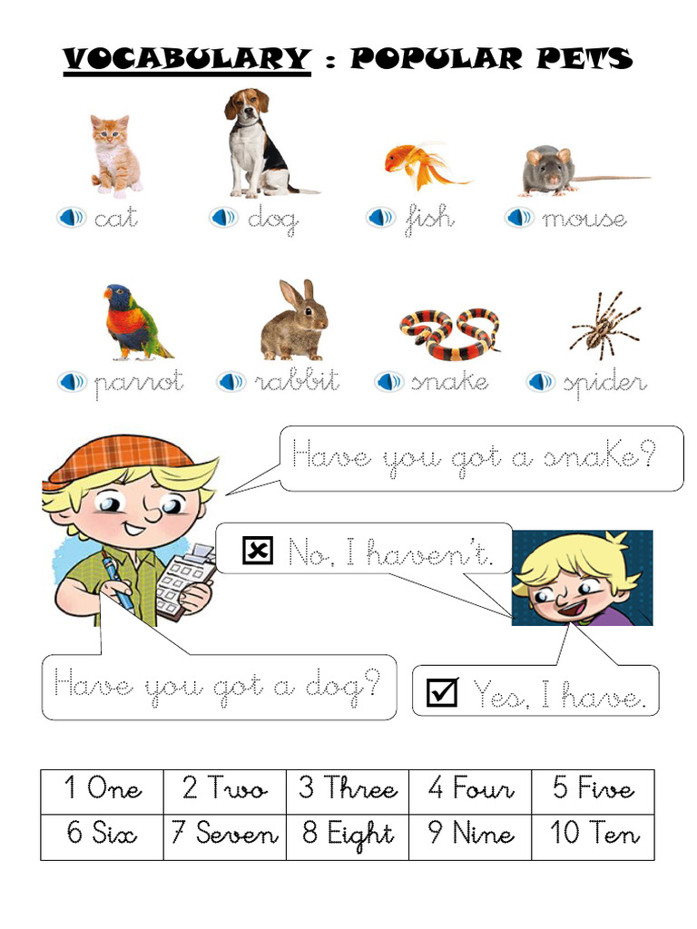 Vocabulary Unit 3 Popular Pets | PDF