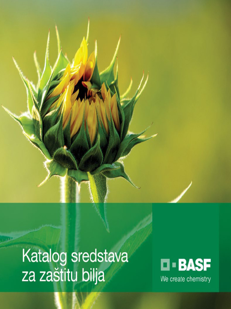 BASF Katalog 2017 | PDF