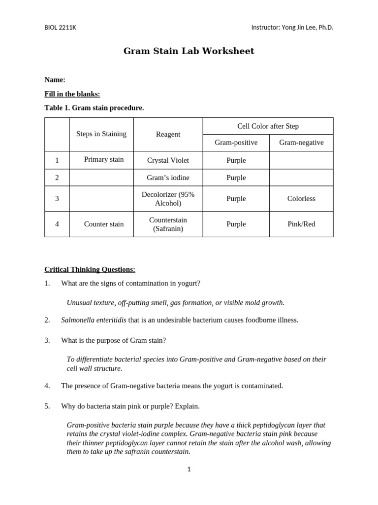 Gram Stain Lab Worksheet | PDF | Staining | Anatomy