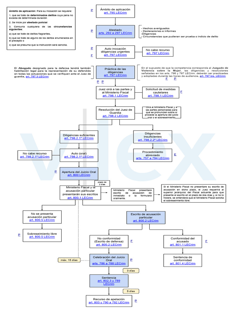 ESQUEMA JUICIO RAPIDO | PDF | Fiscal | Justicia