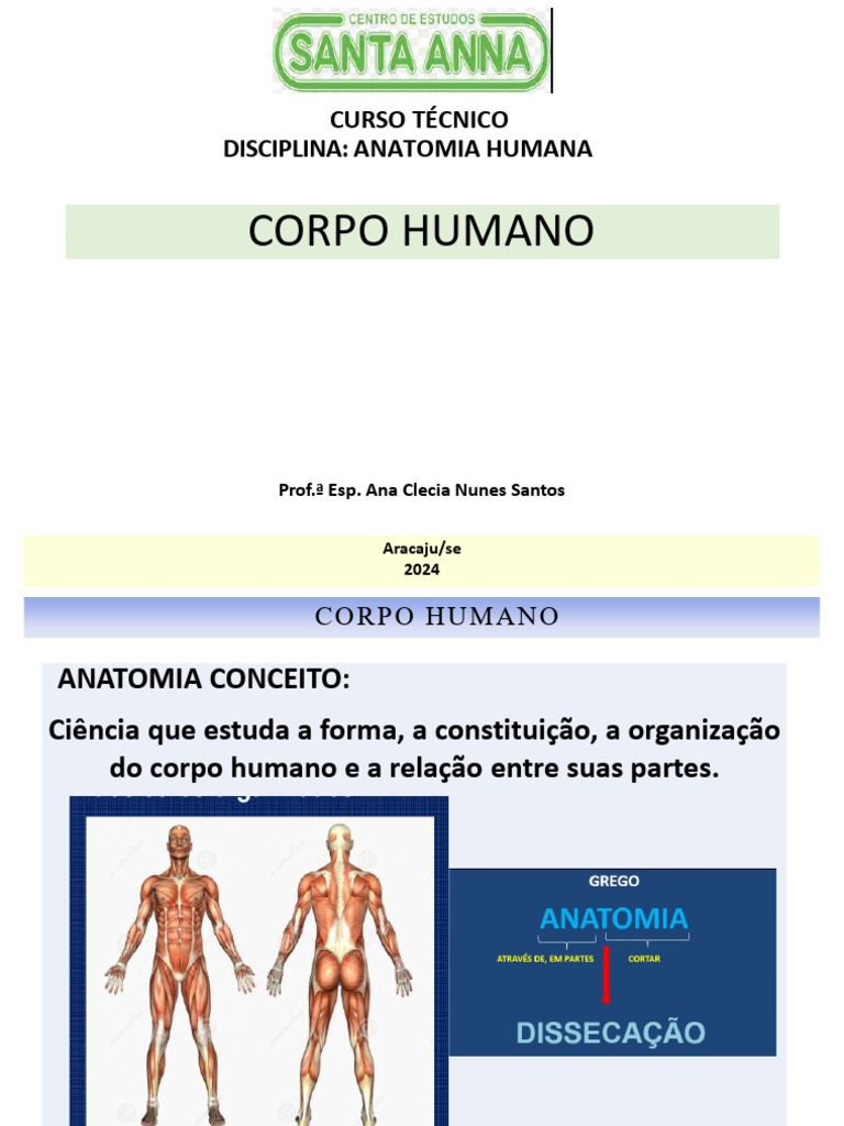 Aula Anatomia - Corpo Humano | PDF | Esqueleto | Anatomia