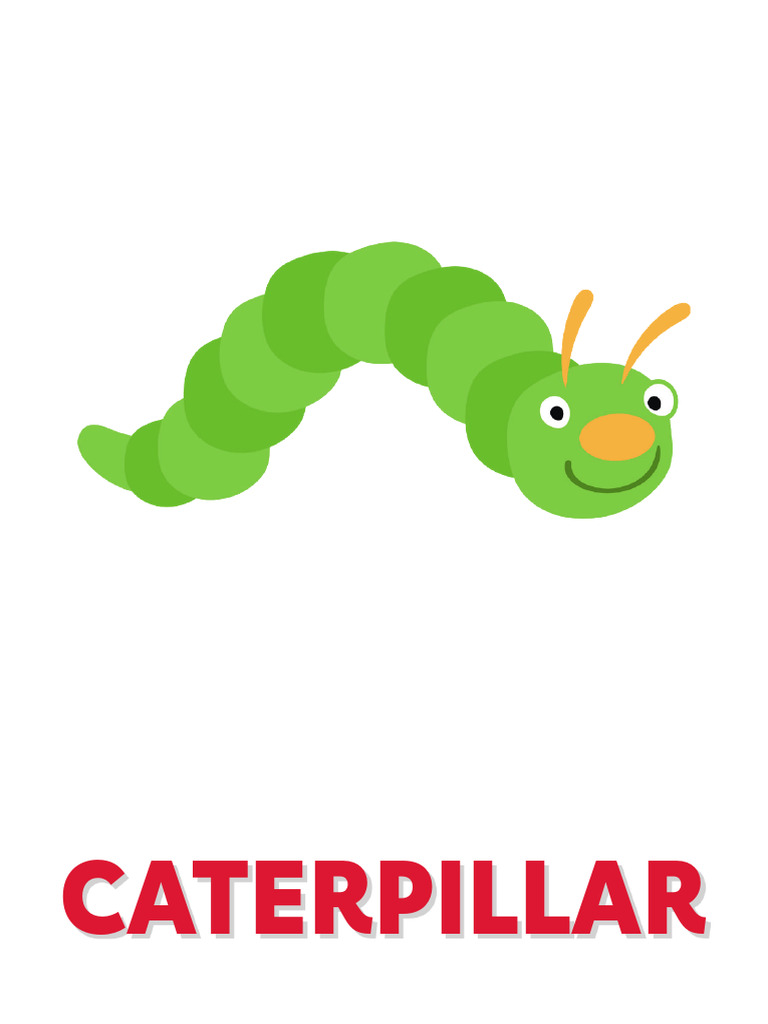 A1 Young Learners Easter and Spring Spring Flashcards | PDF