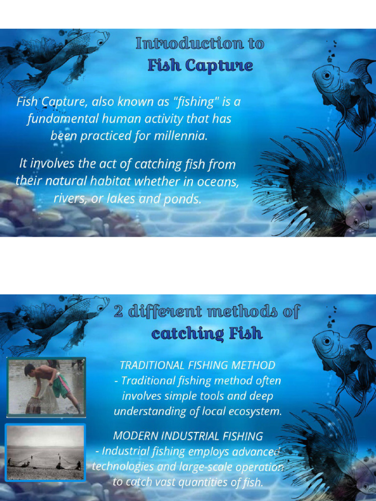 Introduction in Fish Capture - Jumawan | PDF