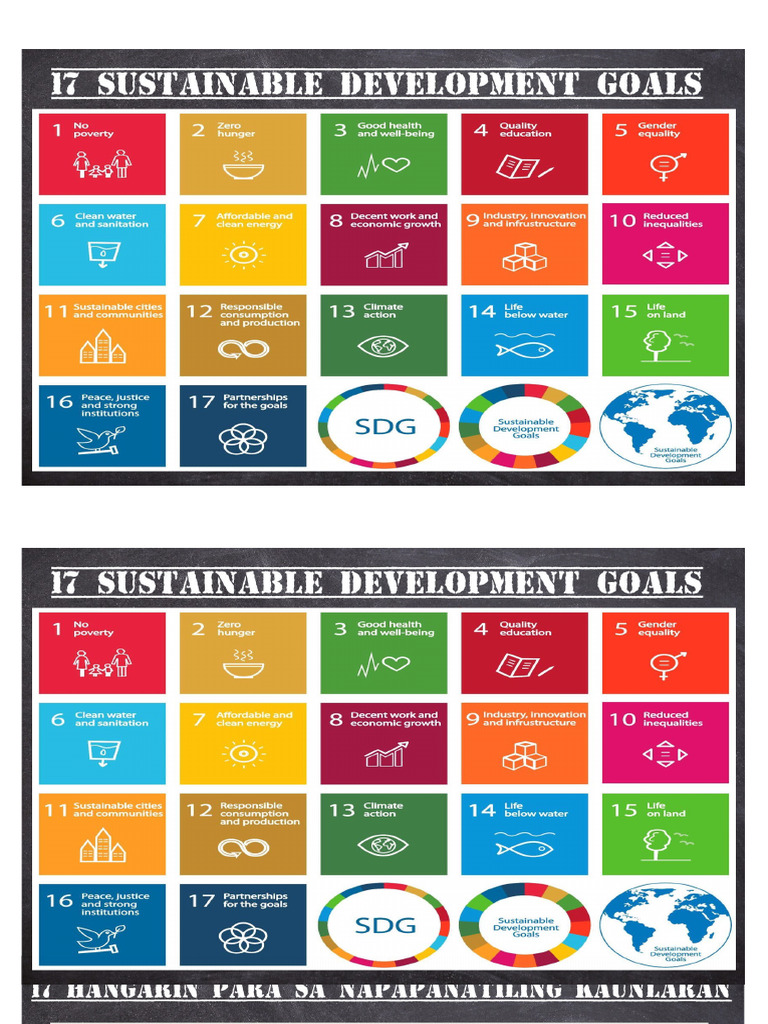 SDG 17 | PDF