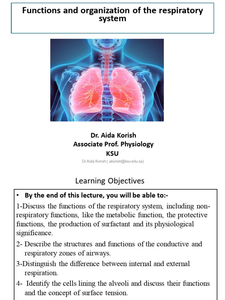 L1-Functional Organization of Respiratory System (Lectures 1) 2022 ...