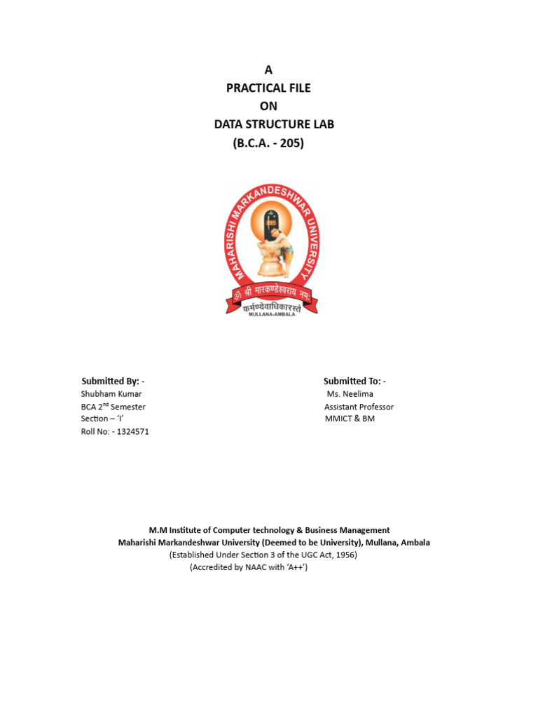 Data Structure Lab Practical File | PDF