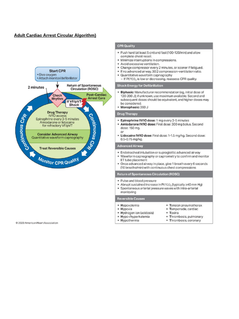 Emergency Medical Algorithms Overview | PDF