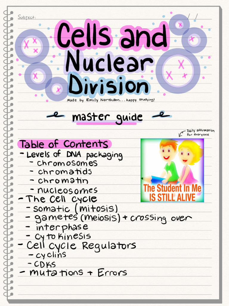 DNA Packaging and Cell Division Guide | PDF | Mitosis | Meiosis
