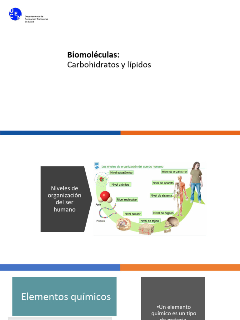 3 Clase III BiomoleÌ - Culas I | PDF | Carbohidratos | Lípido