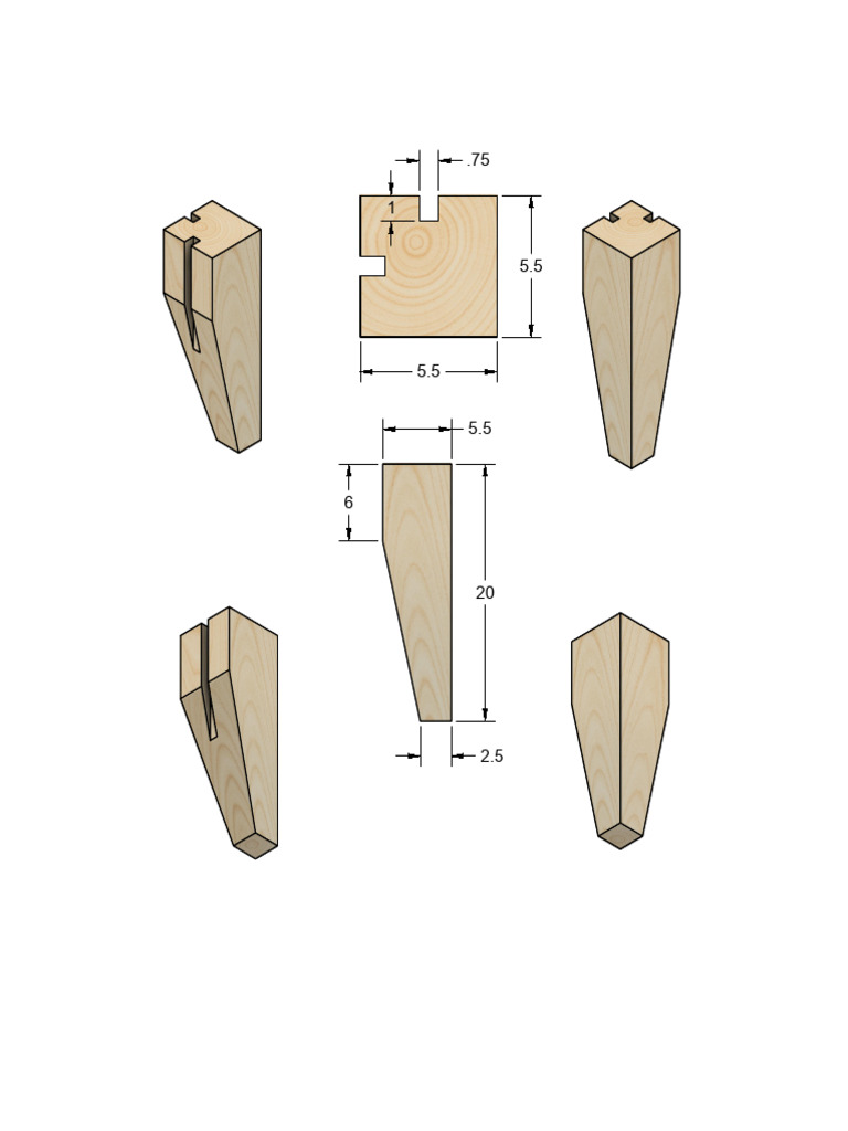 Backenzahn Drawing | PDF