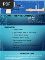 Manual Muscle Testing (MMT) : Dr. Neha Kashyap | PDF | Anatomical Terms ...