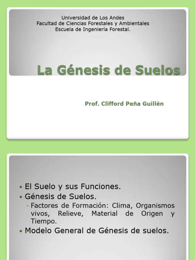 Génesis y Formación de Suelos | PDF | Suelo | Roca (geología)