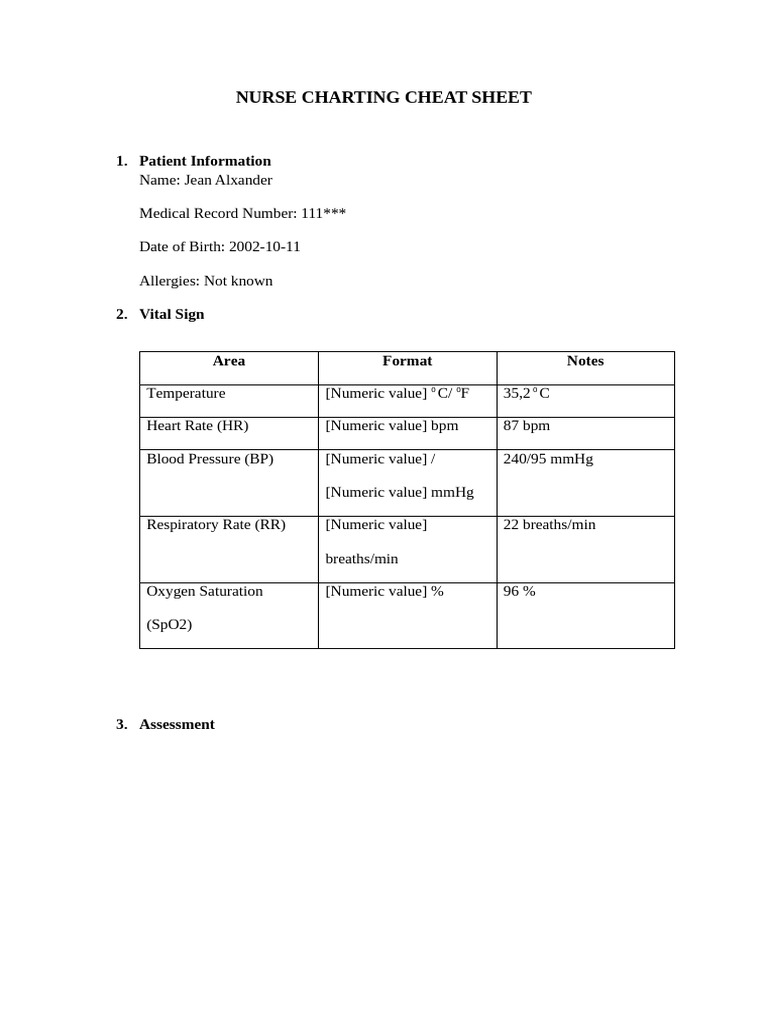 Nurse Charting Cheat Sheet: 1. Patient Information | PDF