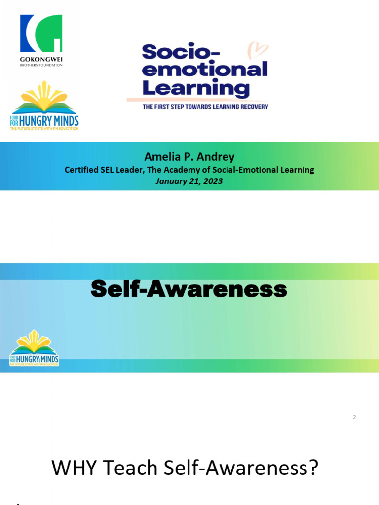 STEM Collab - SEL - Self-Awareness by Teacher Amie Andrey | PDF