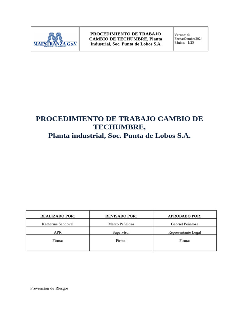 M.gyv Procedimiento Cambio de Techumbre Planta Industrial Soc. Punta de Lobos 2024 | PDF ...