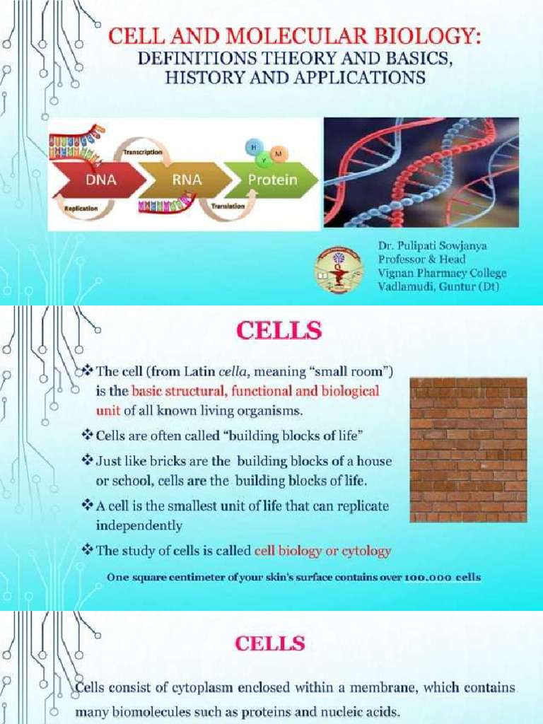 Molecular Biology and Genetics | PDF