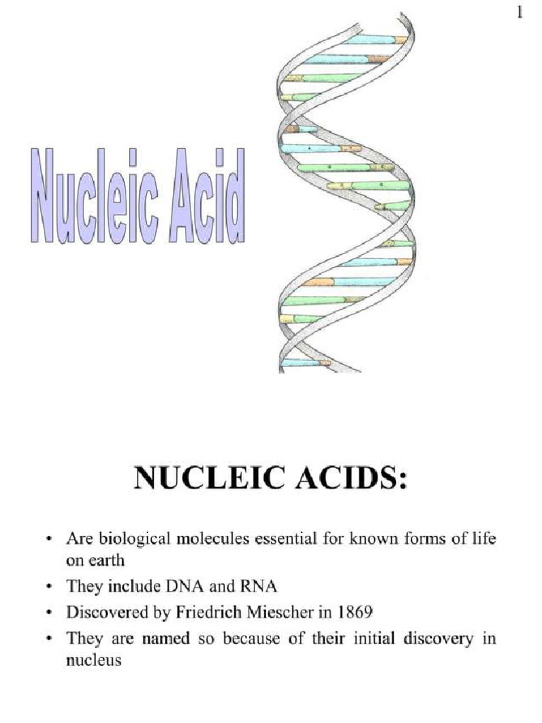 Nucleic Acid | PDF