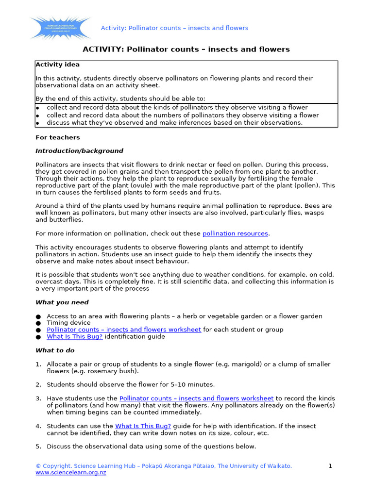 Pollinator Counts - Insects and Flowers | PDF | Flowers | Pollinators
