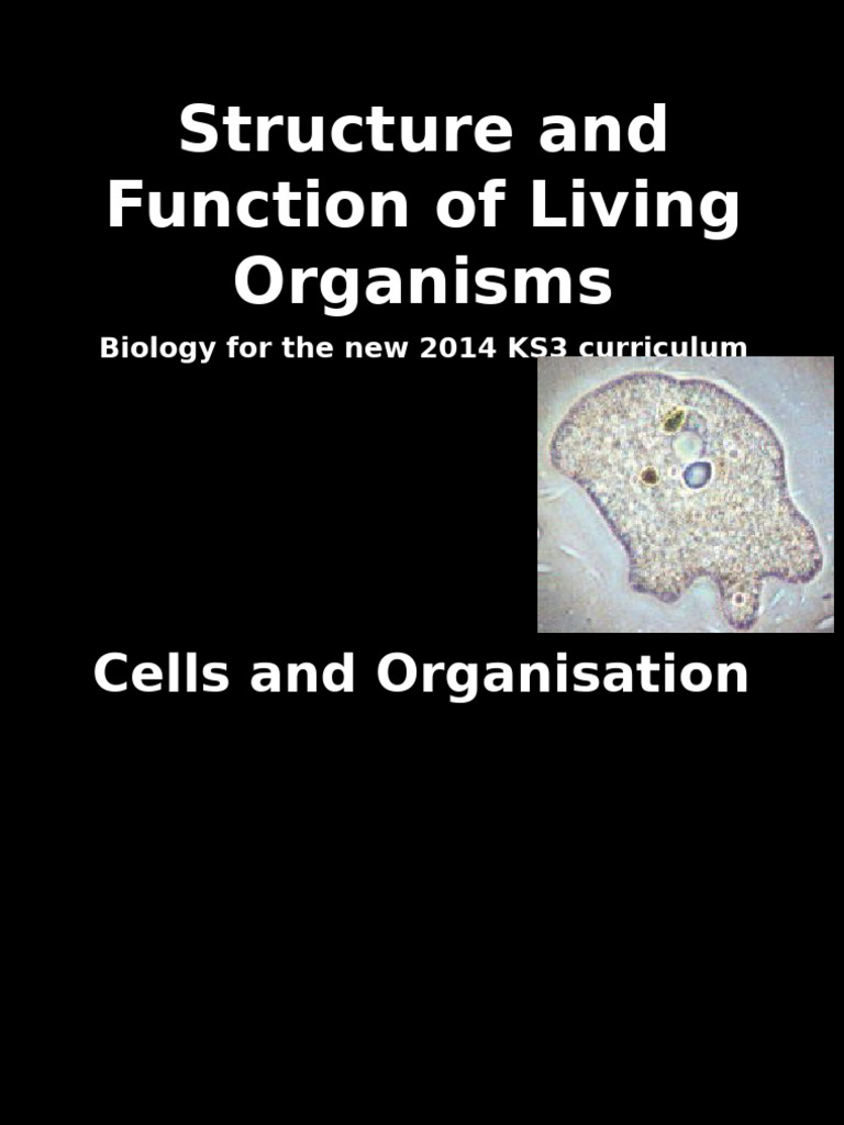 Structure and Function of Cells | PDF | Fertilisation | Respiratory Tract