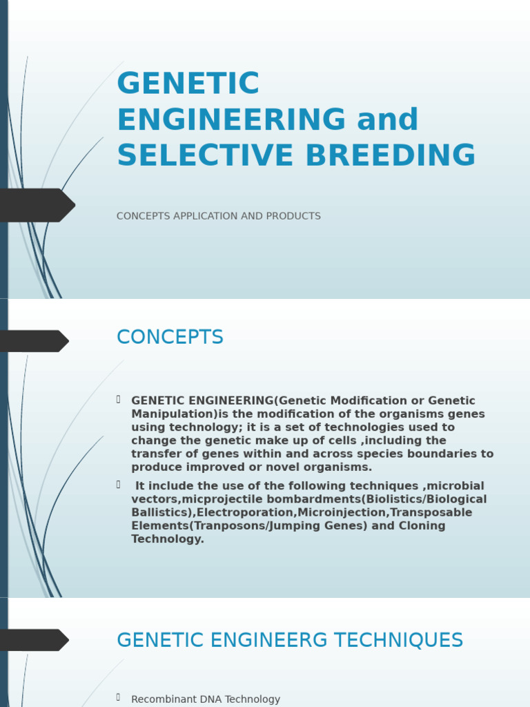 Genetic Engineering & Selective Breeding Overview | PDF | Genetically ...