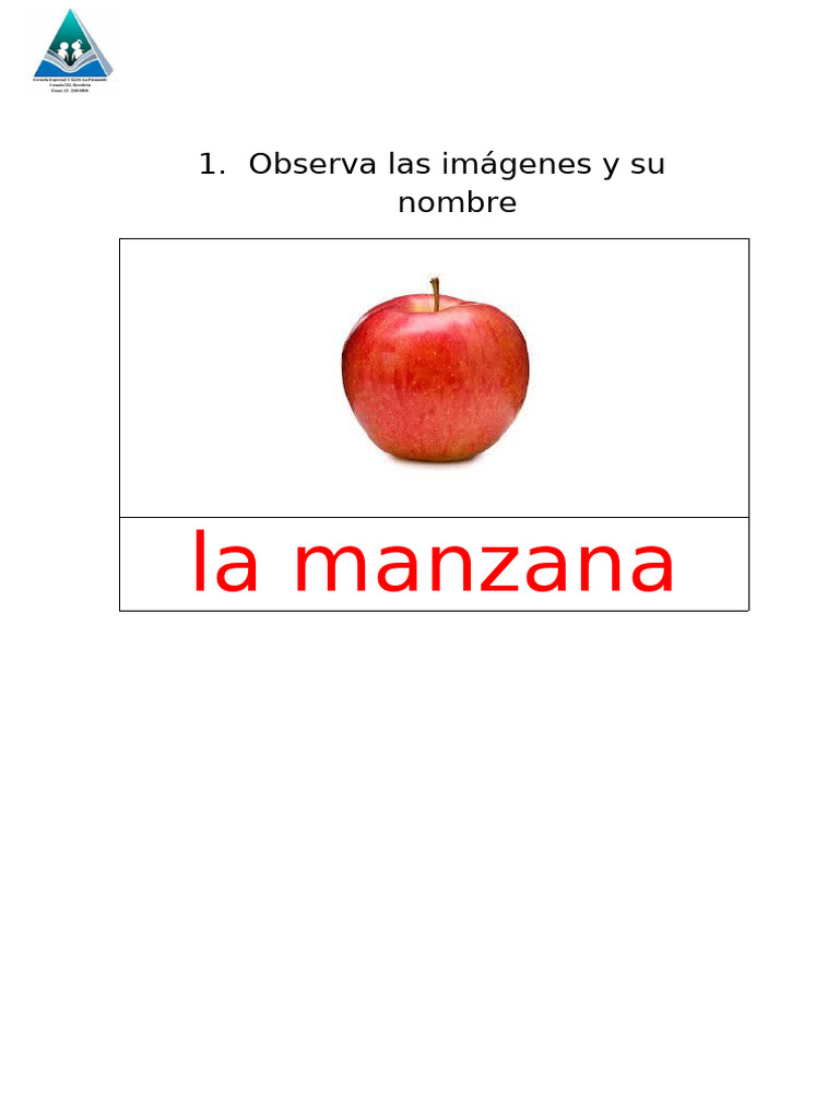 Manzana | PDF
