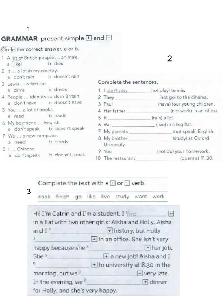 Repaso Present Simple | PDF