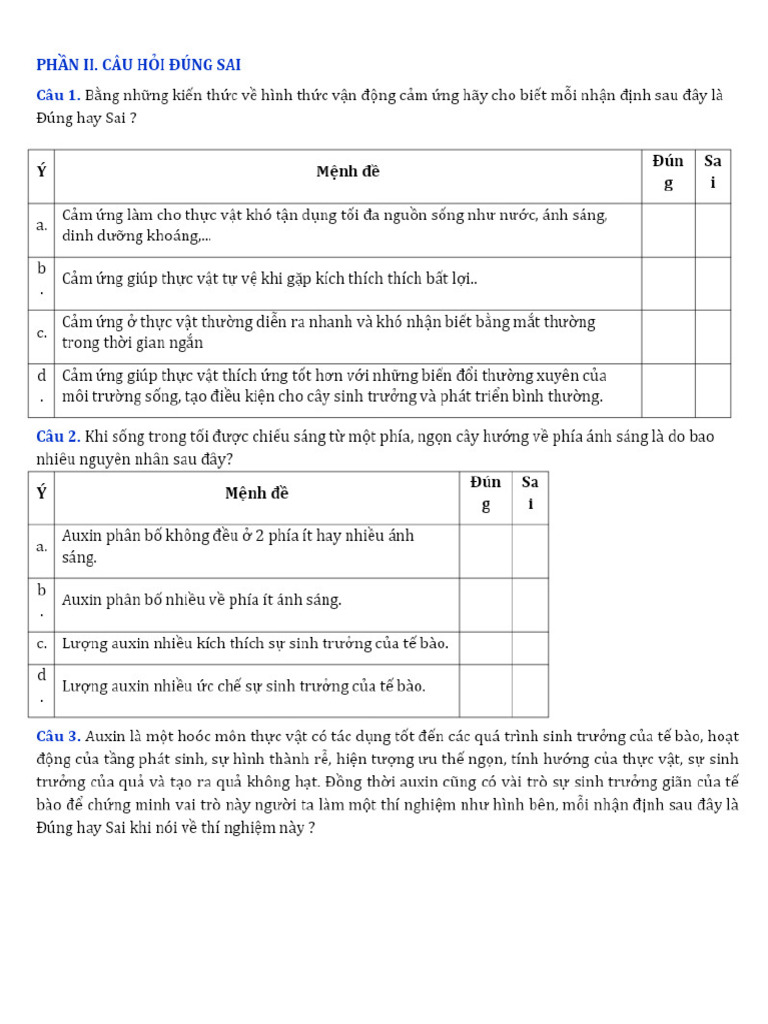 Phan II Cau Hoi Dung Sai | PDF
