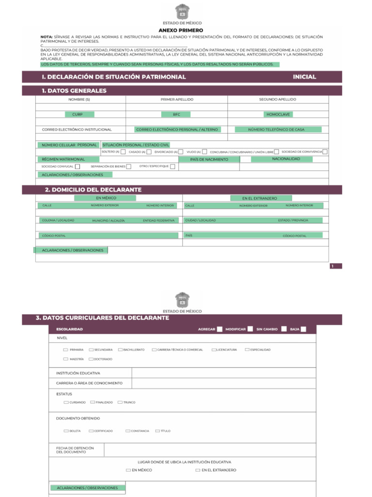 Formatode Declaracion Inicial | PDF