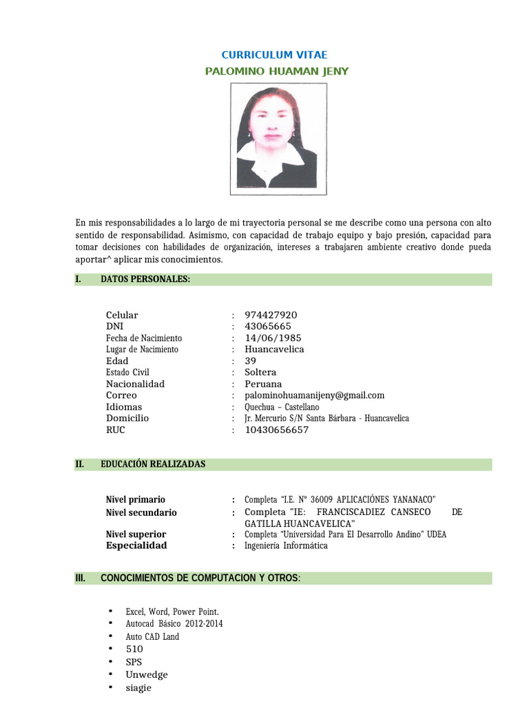 CURRICULUM VITAE YENI PALOMINO 002 | PDF | Informática