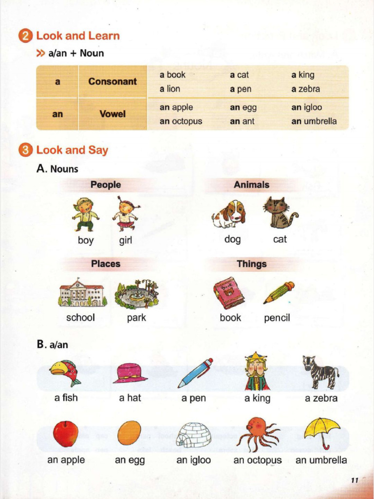 Nouns | PDF