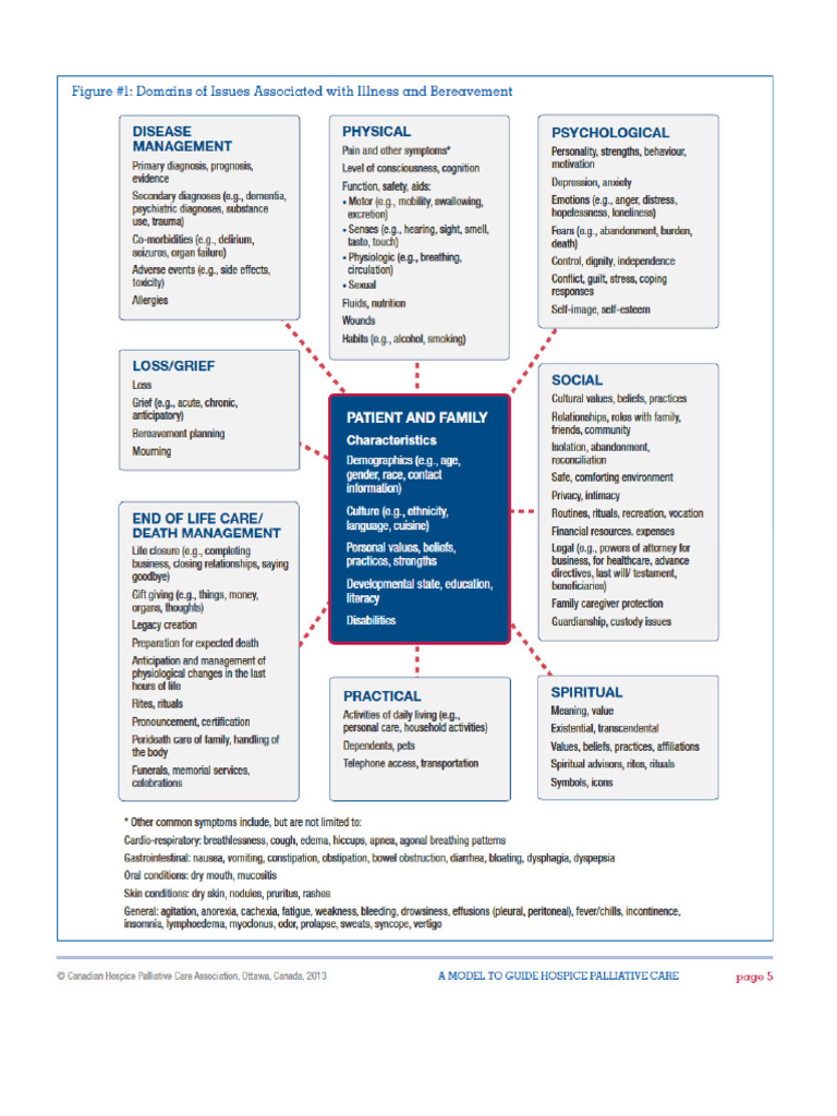 Palliative Care 8 Domains of Issues | PDF