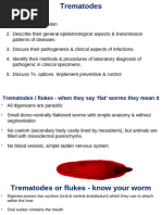 Trematode Flukes: Types and Characteristics | PDF | Zoology | Parasitology