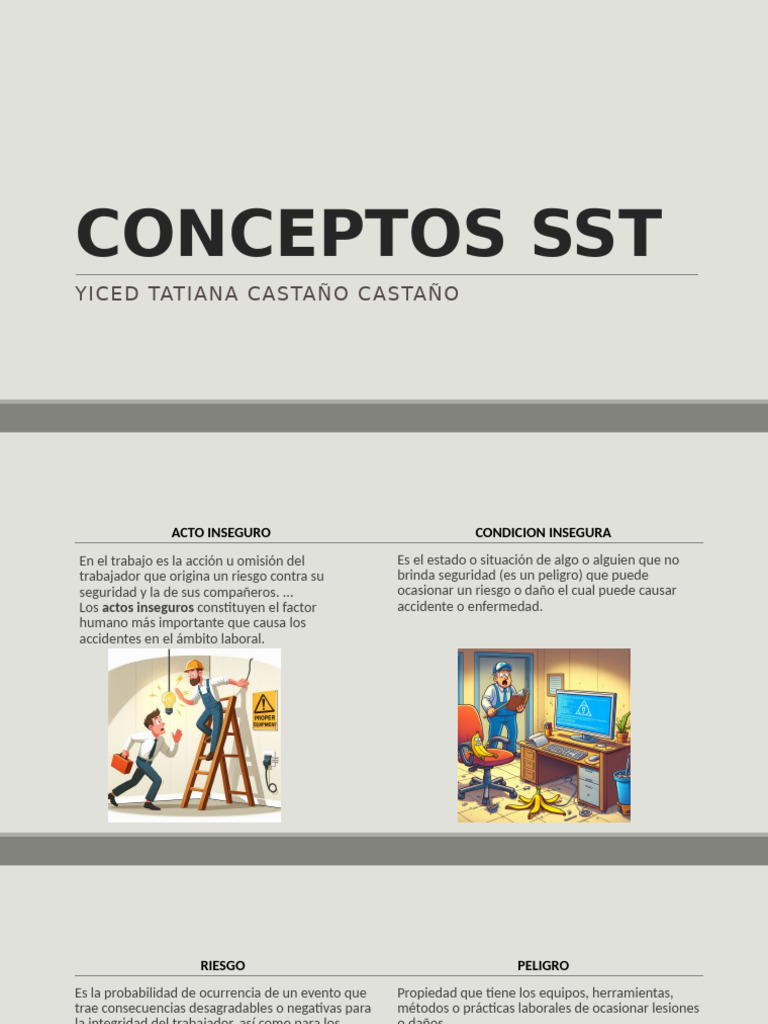 Conceptos SST | PDF