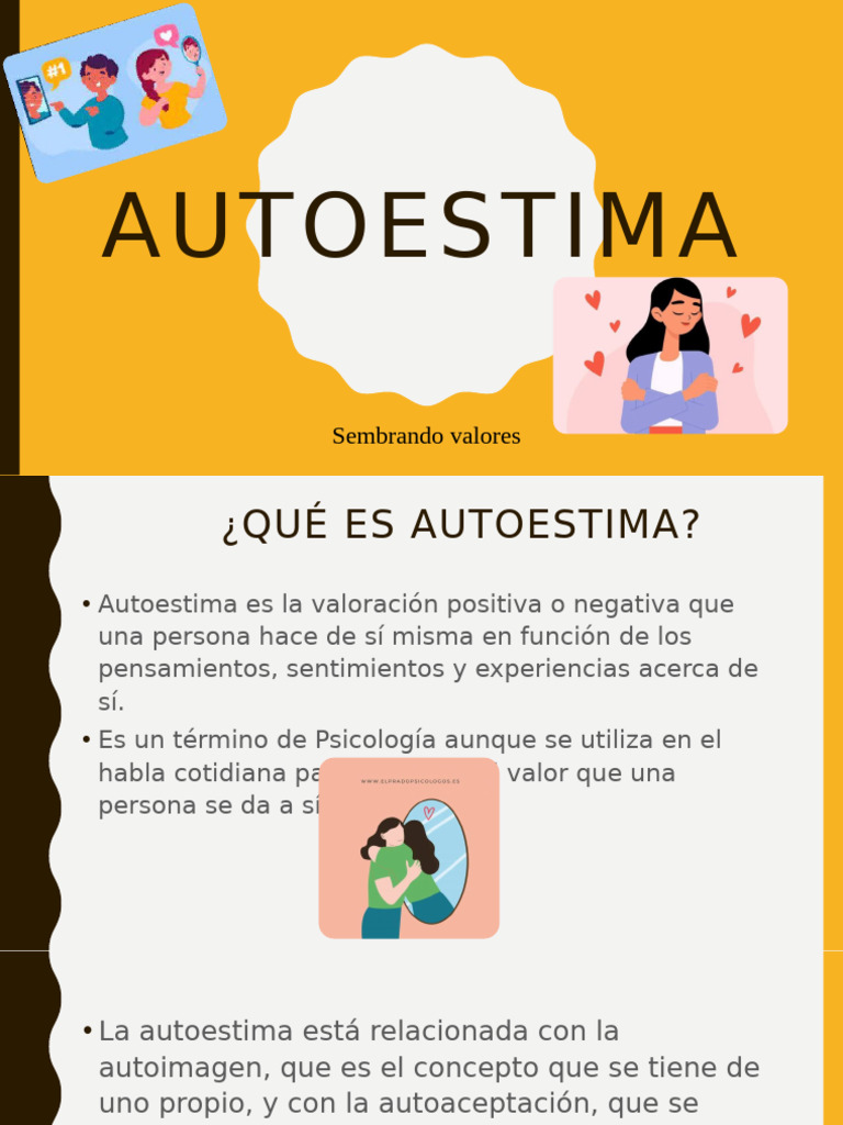 Auto Estim A | PDF