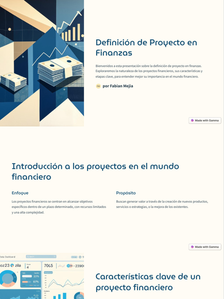 Definición de Proyectos Financieros | PDF | Presupuesto | Economias