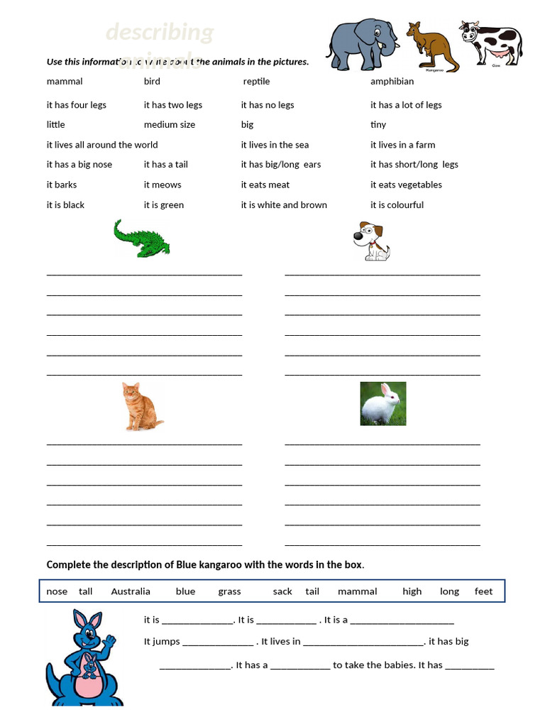 Animal Descriptions and Characteristics | PDF | Zoology