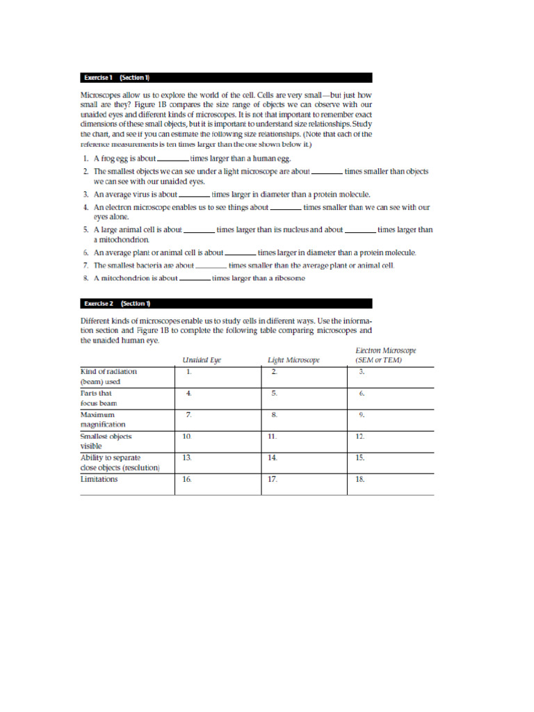 Gen | PDF
