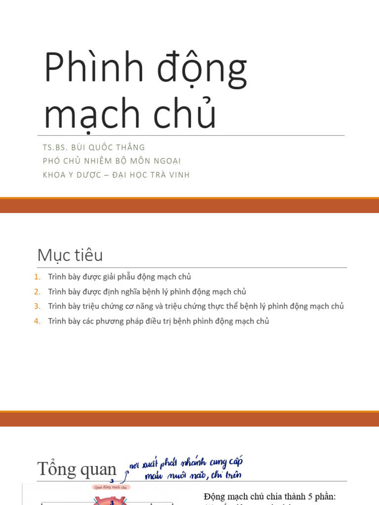 02b. Phình Đ NG M CH CH | PDF