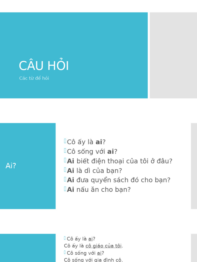 10-Cac Tu de Hoi - Question Words | PDF
