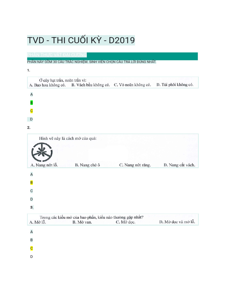 Cuối kì TVD 2019 | PDF
