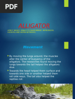 Average Weight of American Alligators | PDF | Pound (Mass) | Crocodile