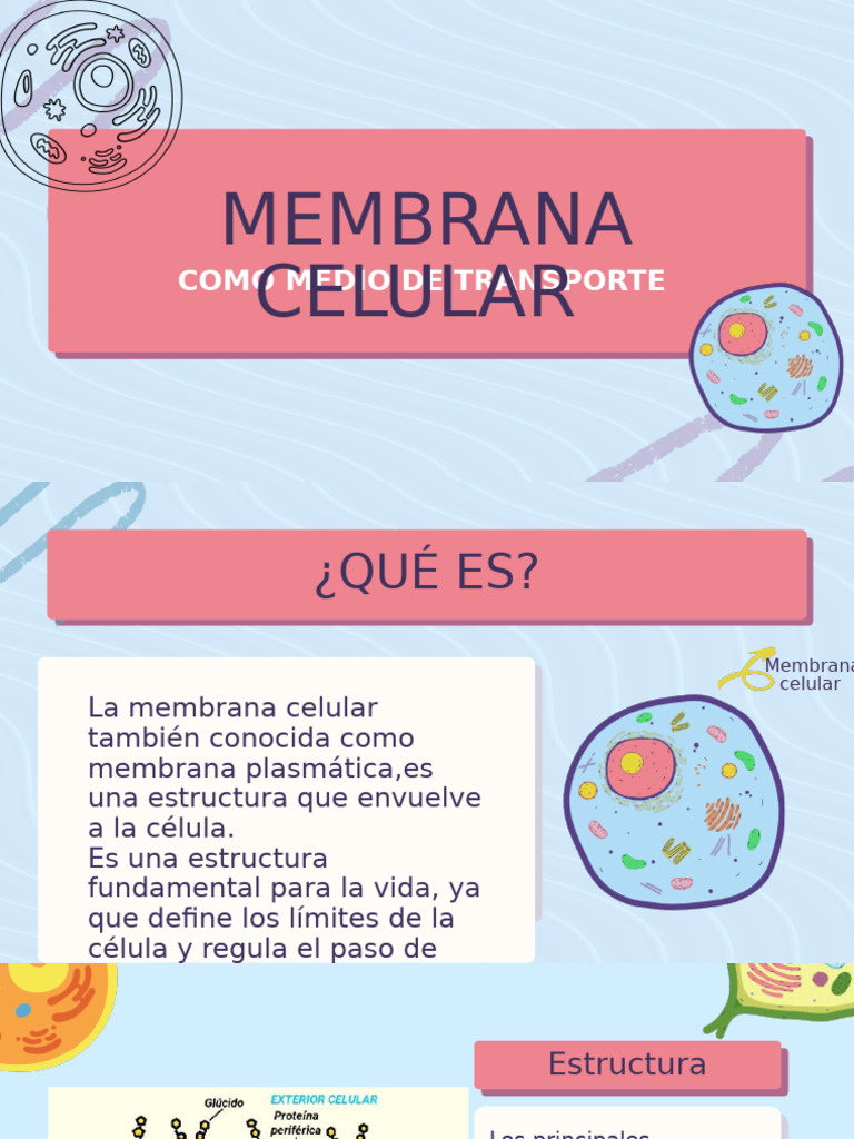 Cell Organelles & Structures Lesson Presentation in Blue and Pink Hand Dra - 20250304 - 233106 ...