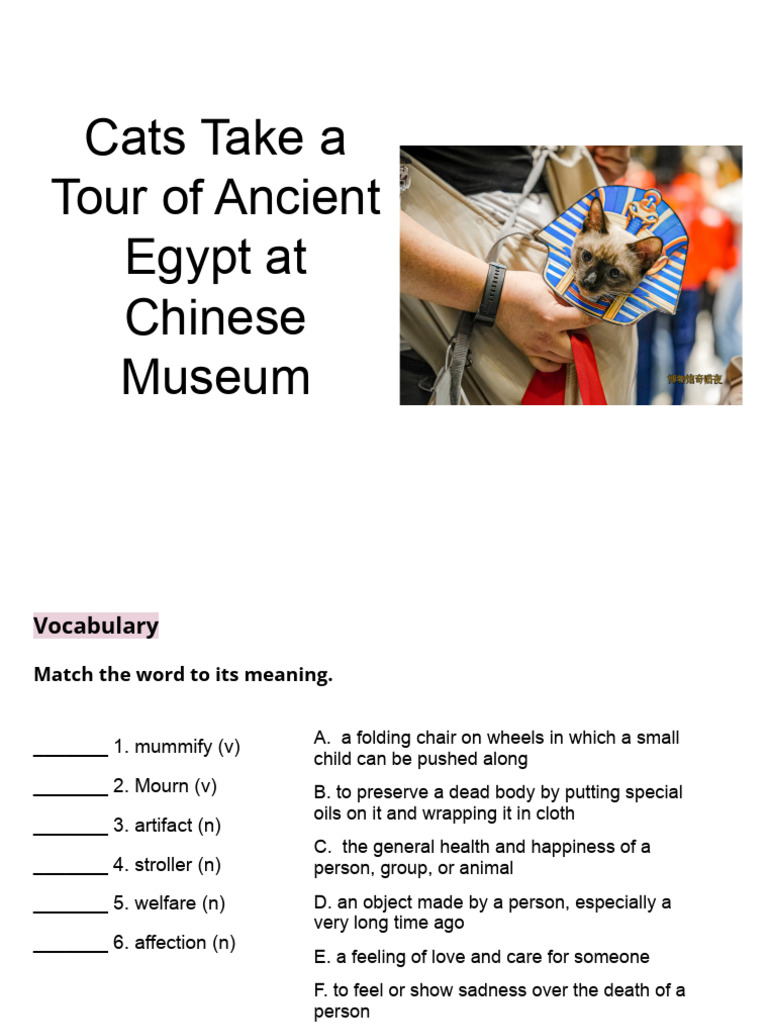 Cats and Ancient Egypt at Museum Event | PDF | Ancient Egypt | Museum
