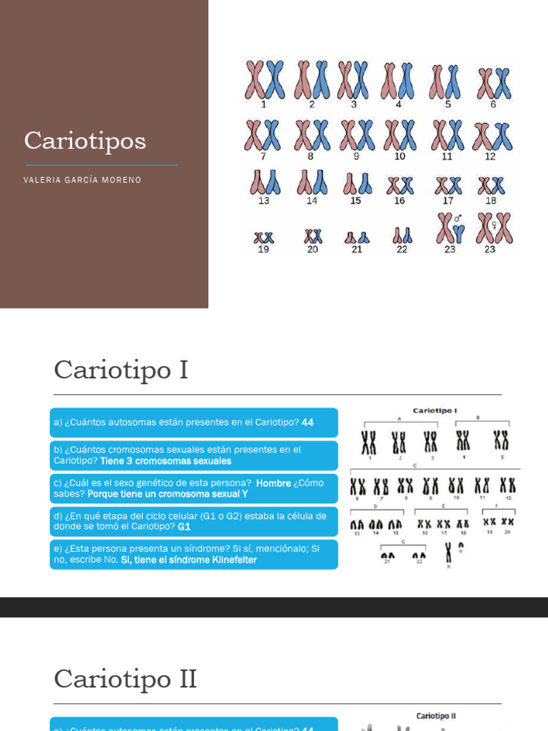 1.2 Cariotipos | PDF
