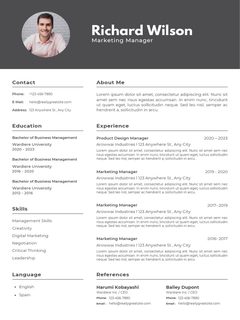 Professional CV Resume | PDF