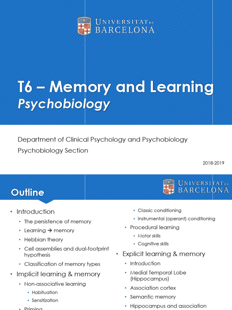 EN T6 Memory Pbio 2021 | PDF | Chemical Synapse | Long Term Potentiation